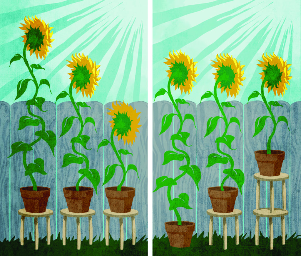 The Basics of Equity in Budgeting - National Civic League